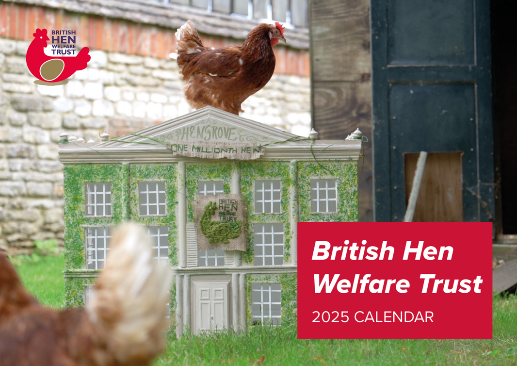 British Hen Welfare Trust Shop – BHWT
