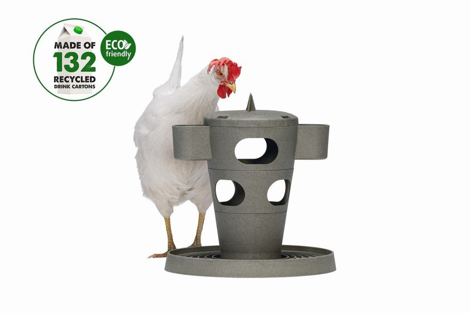 Chicken Feeders | British Hen Welfare Trust – BHWT