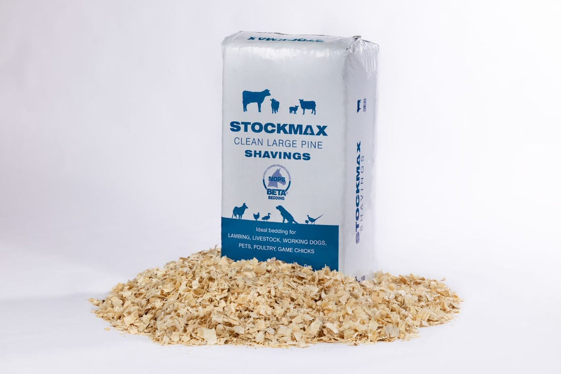 Stockmax Pine Shavings – BHWT